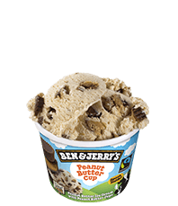 Ben and jerry's peanut butter cup store